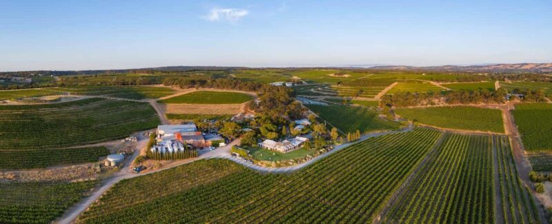 McLaren Vale North: Hop-On Hop-Off Tour - The Wines and Tastings
