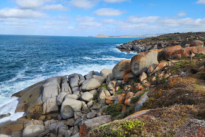 McLaren Vale, Port Elliot and Victor Harbor Minibus Tour - The Return and the Wine Tasting