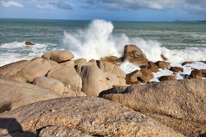 McLaren Vale, Port Elliot and Victor Harbor Minibus Tour - Logistics and Practicality