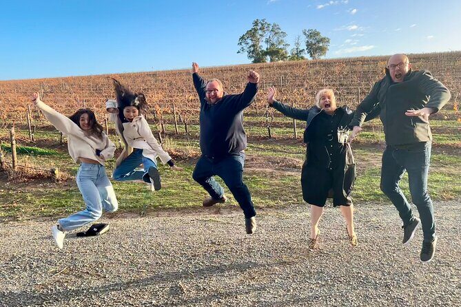 McLaren Vale Private Tour inc Premium Lunch & d'Arenberg Cube - An In-Depth Look at the Tour Experience