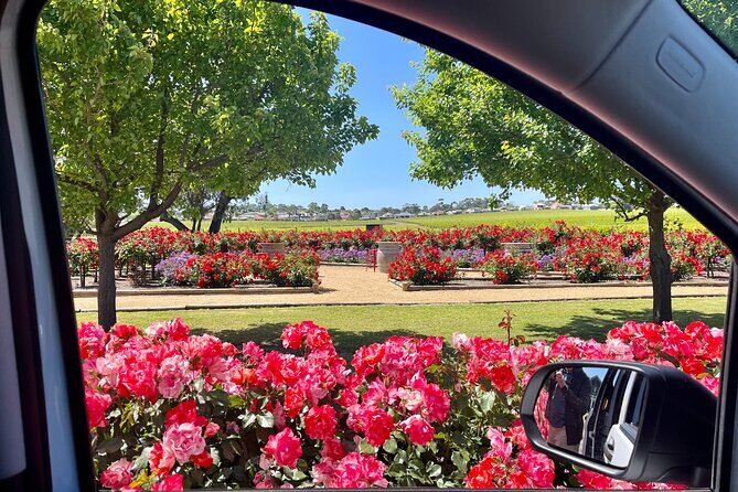 McLaren Vale Private Tour inc Premium Lunch & d'Arenberg Cube - Who Should Consider This Tour?