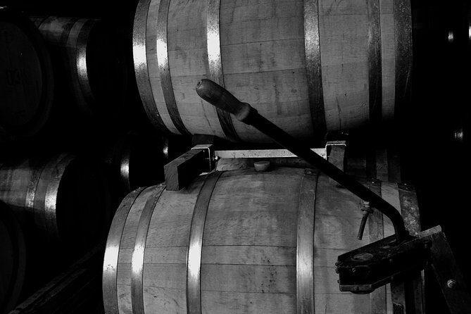 McLaren Vale Shared Tour, visit 4 wineries . Best itinerary. - The Experience and Atmosphere