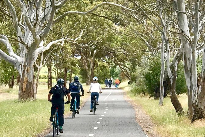 McLaren Vale Shiraz Trail Cycling Tour from Adelaide - Authentic Experiences & Honest Appraisals from Reviews