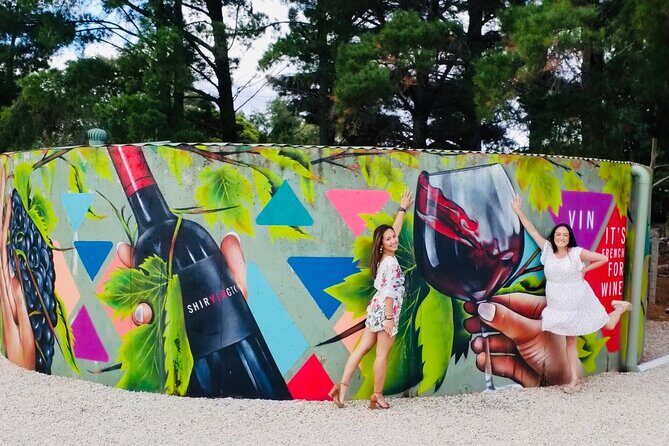 McLaren Vale Small Group Wine Tour - Comfort, Transportation, and Group Dynamics