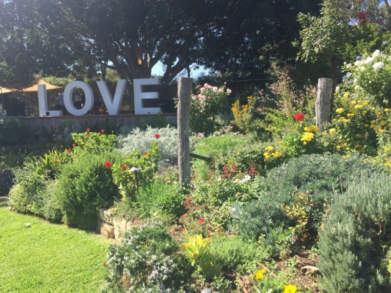 McLaren Vale: Small Group Wine Tour (Includes Lunch) - Key Points