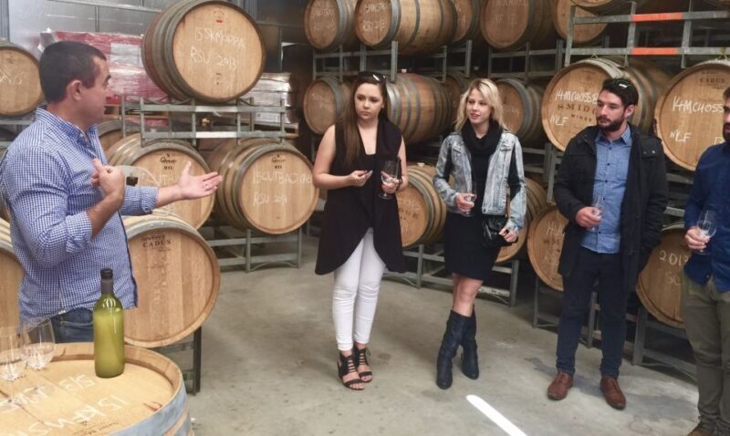McLaren Vale: Small Group Wine Tour (Includes Lunch) - An In-Depth Breakdown of the Tour Experience