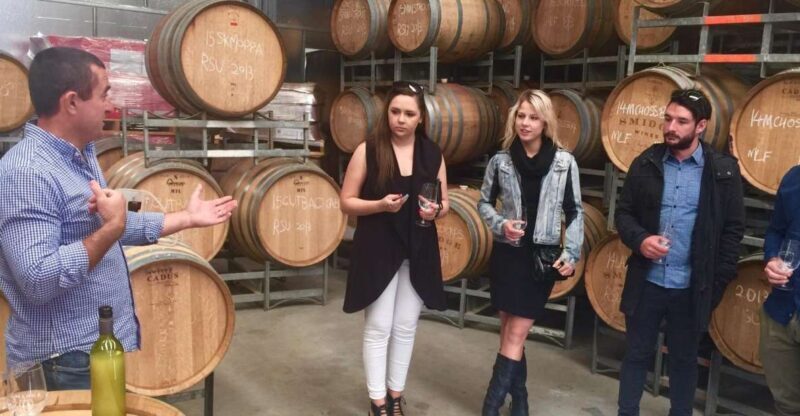 McLaren Vale: Small Group Wine Tour (Includes Lunch) - Who Should Book This Tour?