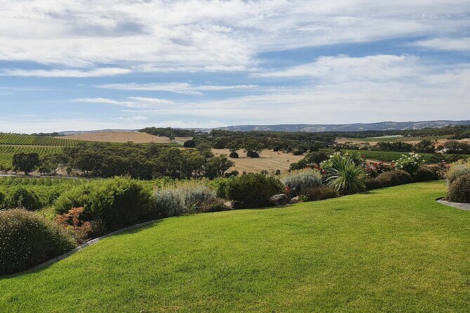 McLaren Vale Small Shared Tour with Wine Tasting and Lunch - Practical Aspects and Comfort