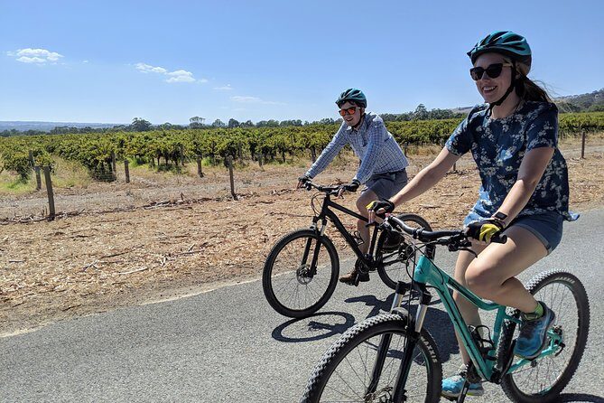 McLaren Vale Wine Tour by Bike - A Deep Dive Into the McLaren Vale Bike Tour