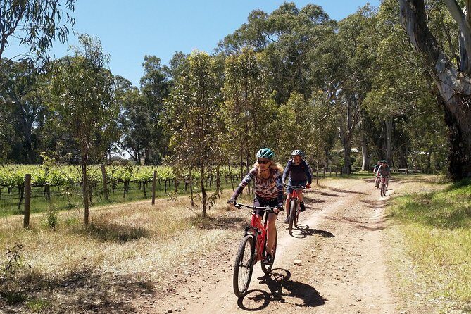 McLaren Vale Wine Tour by Bike - The Experience in a Nutshell
