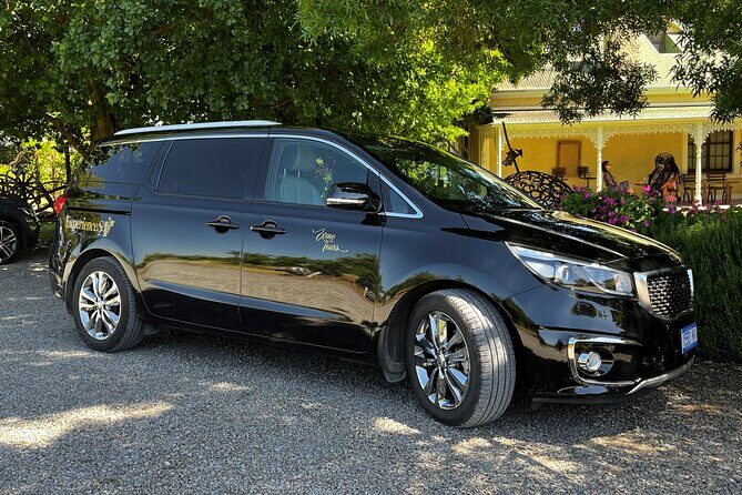 McLaren Vale Wine Tour: Tastings, Lunch, and Scenic Views - Who Will Love This Tour?