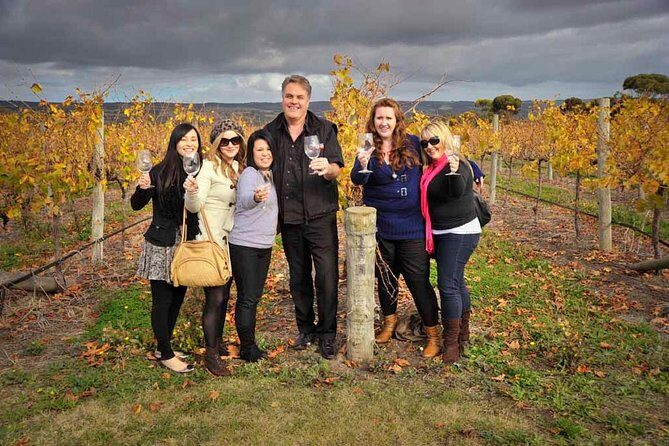 McLaren Vale Winery Small Group Tour with Wine Tasting and Lunch - Authentic Experiences and Real-World Feedback