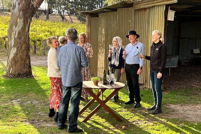 McLaren Vale Winery Small Group Tour with Wine Tasting and Lunch - Final Thoughts: The Value in Every Sip