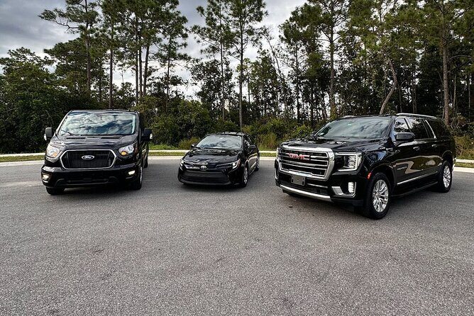 MCO To Orlando and Lake Buena Vista Area Hotels - Detailed Breakdown of the Experience