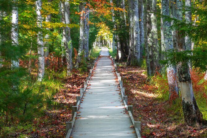 MDI Private Discovery Tour - Explore Beyond Acadia (five hours) - What to Expect from the Experience