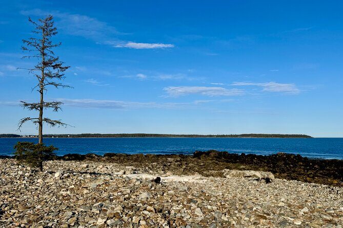 MDI Private Discovery Tour - Explore Beyond Acadia (five hours) - FAQ