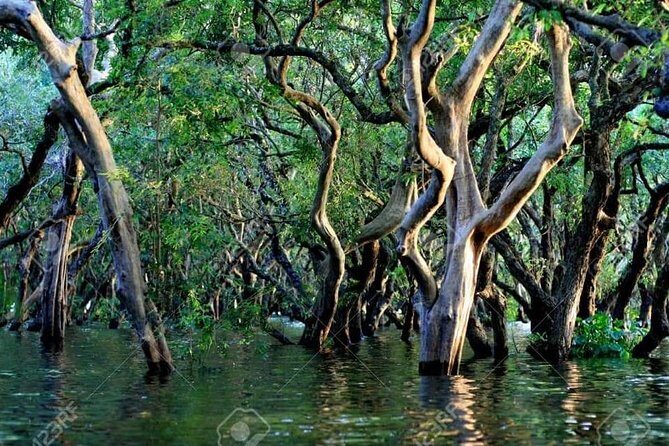 Mechrey Floating Village Tour & Mangrove from Siem Reap - Practical Tips for Travelers