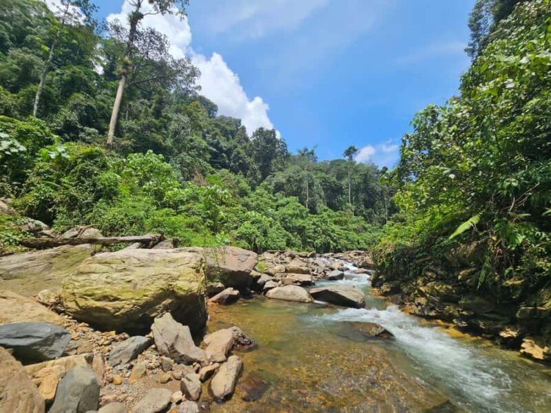 Medan: 7-Day Bukit Lawang Orangutan Exploration Package - Considering the Cost and Overall Value
