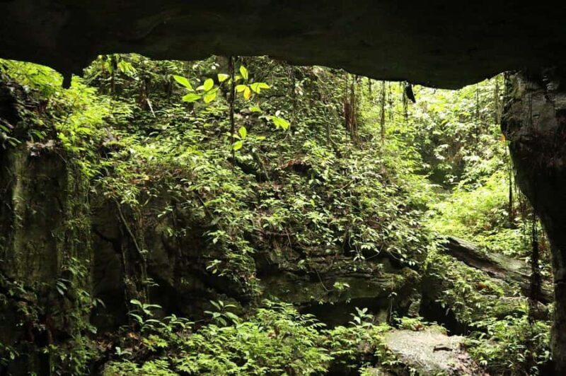 Medan: Bat Cave Exploration and Riverside Picnic - Exploring Bukit Lawang’s Hidden Treasures