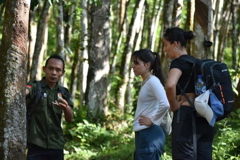 Medan: Bukit Lawang & Berastagi 5-Day Adventure Tour - Why This Tour Is a Great Choice