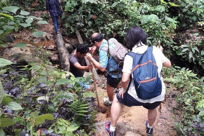 Medan - Bukit Lawang Fullday Tour - What Makes This Tour Stand Out