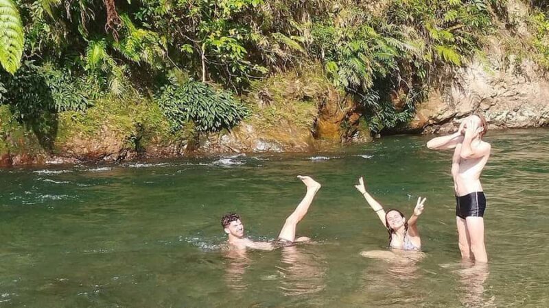 Medan: Bukit Lawang Orangutan Tour - Deep Dive into the Itinerary