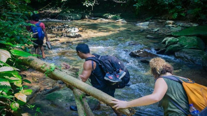 Medan: Bukit Lawang Orangutan Tour - The Experience from Travelers’ Perspectives