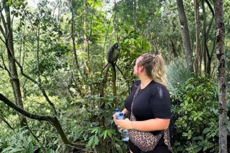 Medan: Mount Leuser National Park Full-Day Trip - Who Should Consider This Tour?