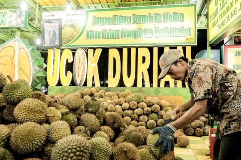 MEDAN : Private Car Driver For Medan Excursions - The Sum Up: Is This Tour Right for You?