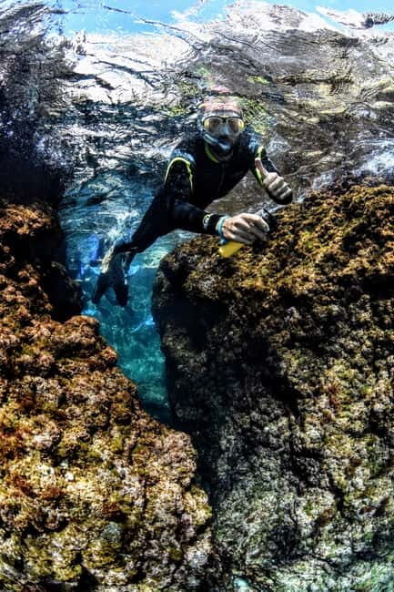 Medes Islands: Snorkeling at the beautiful Nature Park - An In-Depth Look at the Snorkeling Tour