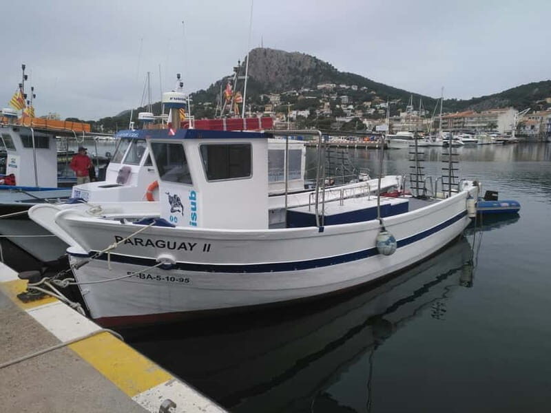 Medes Islands: Snorkeling at the beautiful Nature Park - Who Will Love This Tour?