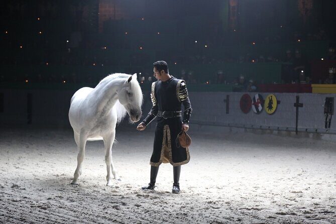 Medieval Times Dinner Show in Orlando - The Sum Up