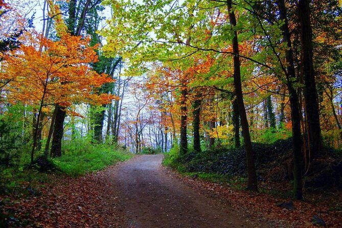Medieval Villages & La Garrotxa Volcanic Zone Hiking. Small Group Tour - FAQs