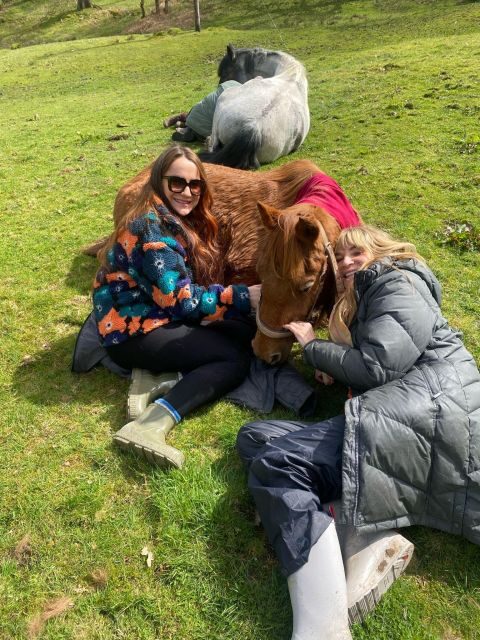 Meditate With Horses - Key Points