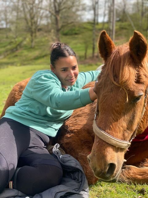 Meditate With Horses - An In-Depth Look at the Experience
