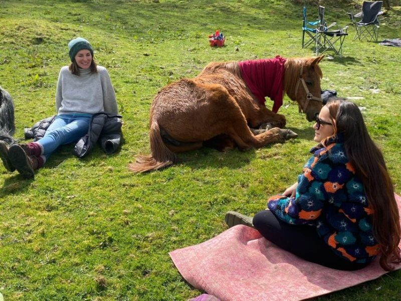Meditate With Horses - Why This Tour Is a Great Fit