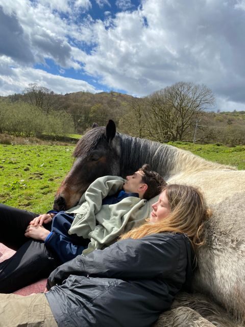 Meditate With Horses - FAQ