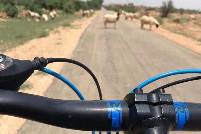 Meditation Retreat in Jaisalmer - An In-Depth Look at the Meditation Retreat in Jaisalmer