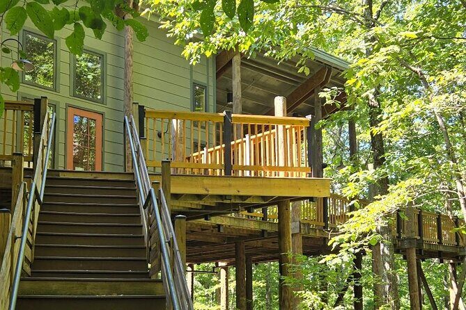Meditative, Forest Bathing Hike followed by Yoga on the Deck - Introduction
