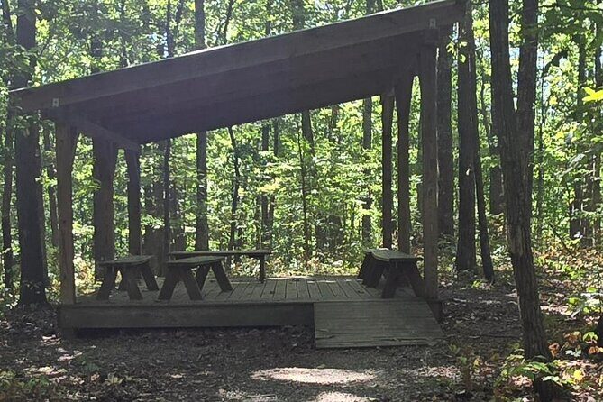 Meditative, Forest Bathing Hike followed by Yoga on the Deck - Who Should Consider This Tour?
