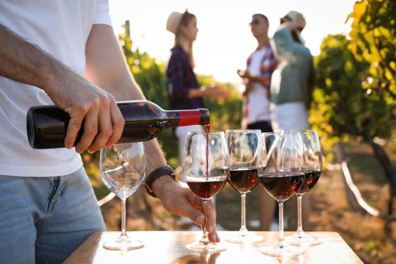 Medoc Tour : Margaux, Saint Estèphe and greediness - Detailed Itinerary Breakdown