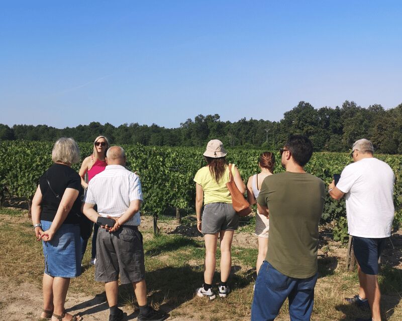 Médoc wine tour from Bordeaux: 2 wineries & 6 wines - Key Points