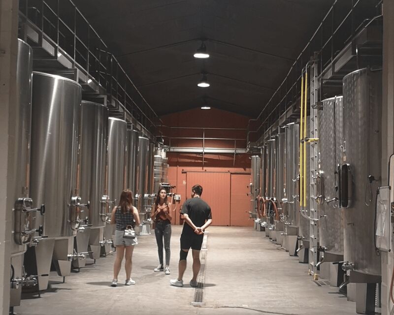Médoc wine tour from Bordeaux: 2 wineries & 6 wines - A Fairly Practical, Balanced Look at the Médoc Wine Tour