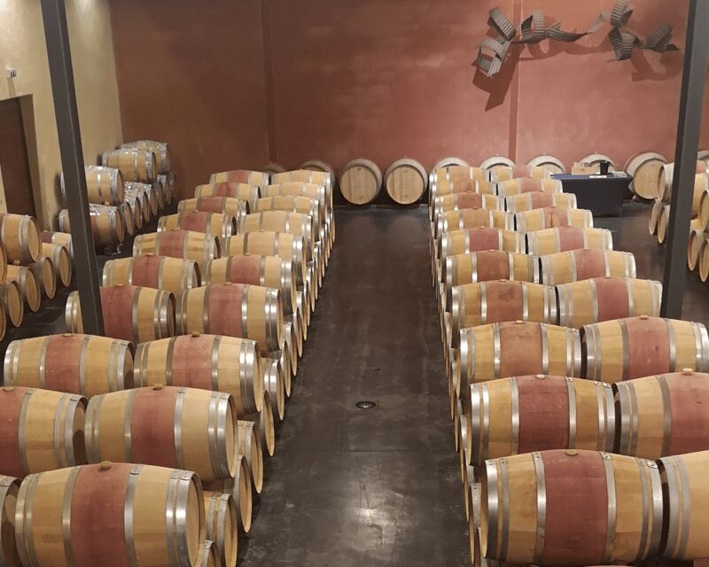 Médoc wine tour from Bordeaux: 2 wineries & 6 wines - In The Sum Up: Is It Worth It?