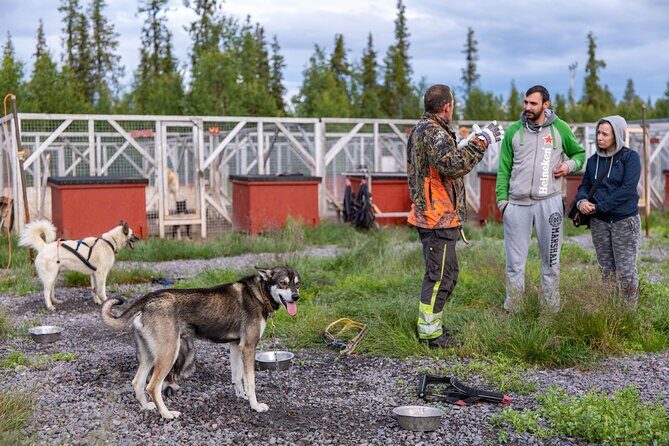 Meet 70 Huskies and Enjoy a short ATV Tour with the Huskies - An In-Depth Look at the Husky and ATV Tour