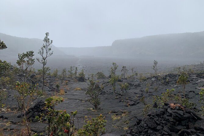 Meet in the park - Private Hawaii Volcanoes National Park Tour - Visiting Puhimau Crater and Chain of Craters Road