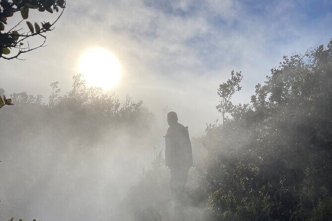 Meet in the park - Private Hawaii Volcanoes National Park Tour - Optional Short Hike