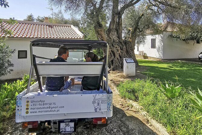 Meet Santa Luzia / Capital do Polvo / Salinas in a 100% electric Tuk Tuk - Why You Might Want to Consider This Tour