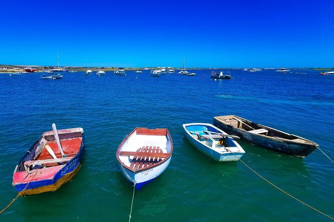 Meet Santa Luzia / Capital do Polvo / Salinas in a 100% electric Tuk Tuk - Transportation & Timing