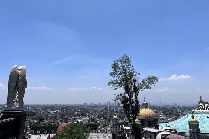 Meet the Basilica of Guadalupe with lunch - Key Points